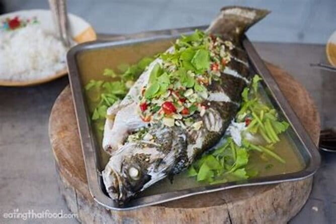 Sea Fishing Competition and Tasting Day in KHO SAMUI - Introduction