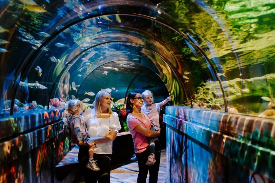 Sea Life Brighton Admission Ticket - Pricing and Value