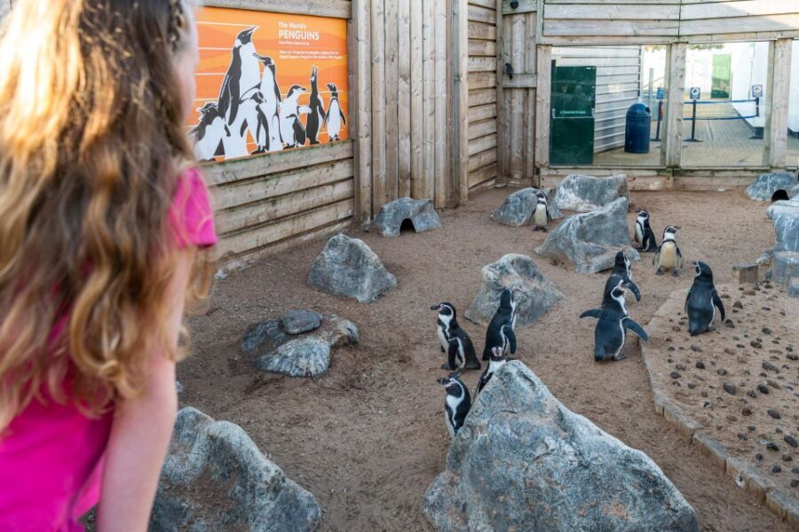 Sea Life Hunstanton - An Authentic Look at Sea Life Hunstanton