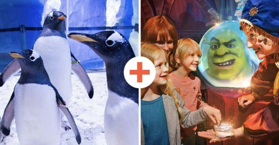 SEA LIFE London & DreamWorks Shrek's Adventure: Combo Ticket - Exploring SEA LIFE London