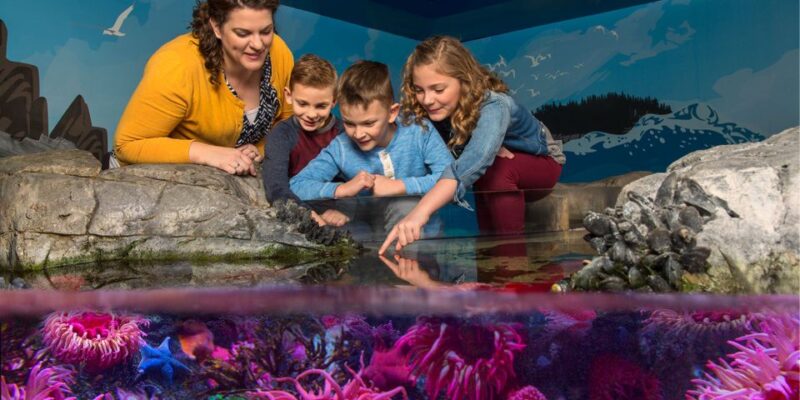 SEA LIFE Michigan Aquarium General Admission - Key Points