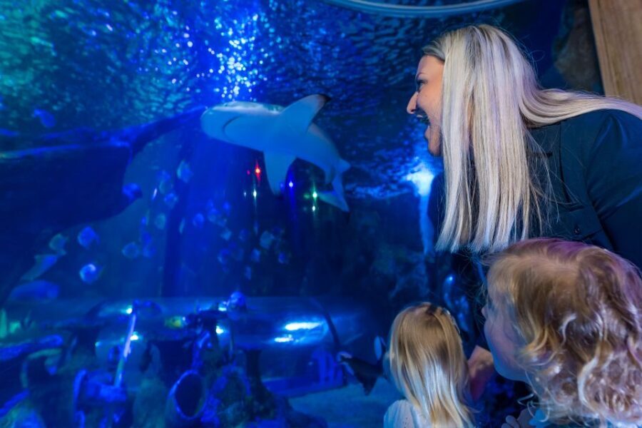 Sea Life Scarborough - A Detailed Look at the Experience