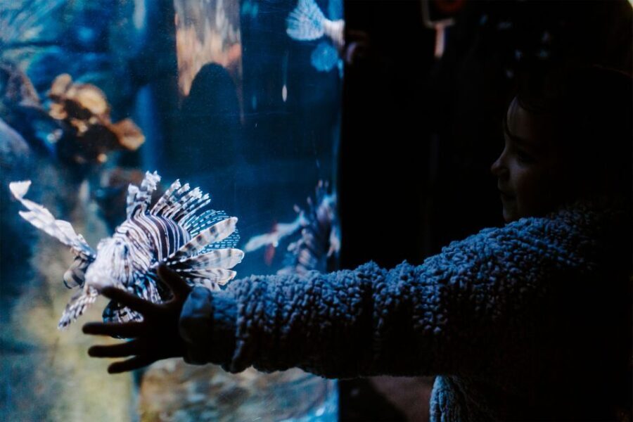 Sea Life Weymouth Admission Ticket - Who Should Visit?
