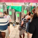 Seggiano: Extra Virgin Olive Oil Museum Visit and Tasting - Why This Tour Offers Good Value