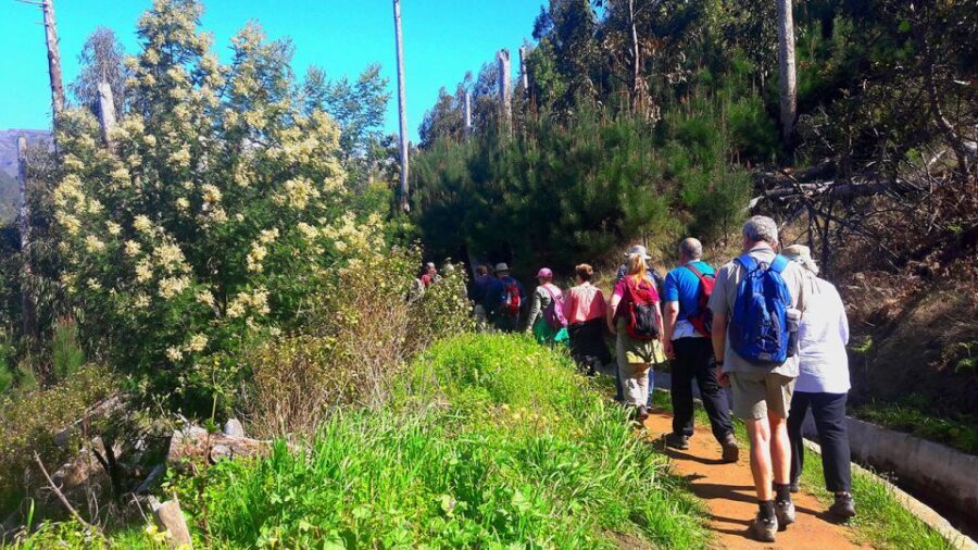 Serra de Água Valley Levada Walk - Who Will Enjoy This Tour?