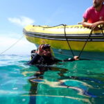 Sesimbra: Arrábida Marine Reserve Scuba Diving Experience - Final Thoughts