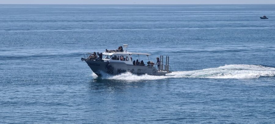 Sesimbra: Boat Trip to the wild beaches and caves - FAQ