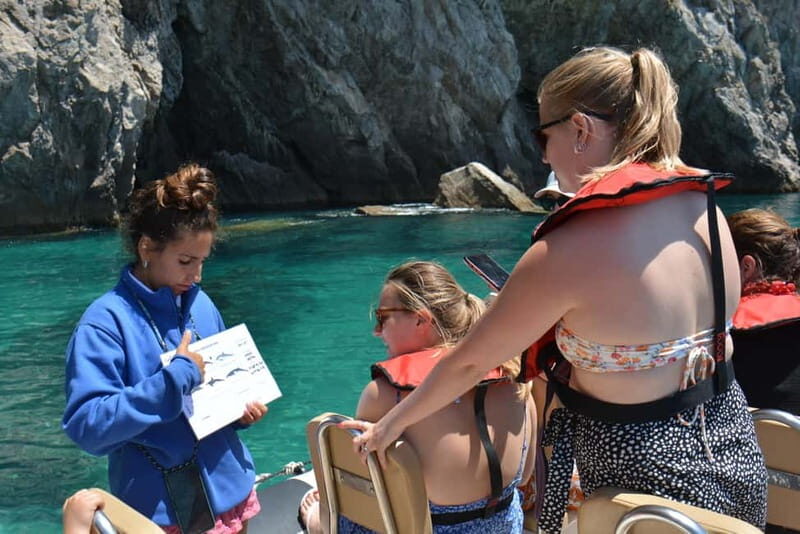 Sesimbra: Dolphin Watching Boat Tour with Biologist Guide - Why This Tour is Worth Considering