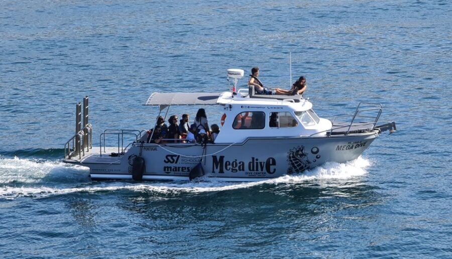 Sesimbra: Dolphin Watching with a marine biologist - Exploring the Details of the Sesimbra Dolphin Watching Tour