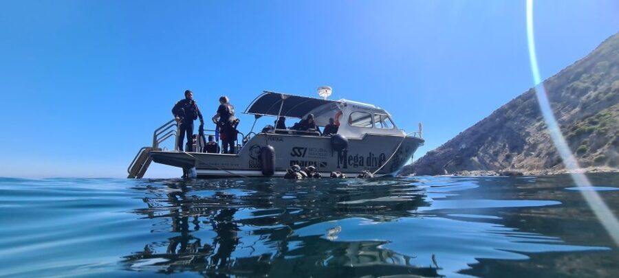 Sesimbra: Double Dive on a Marine reserve - The Essential Details of the Tour