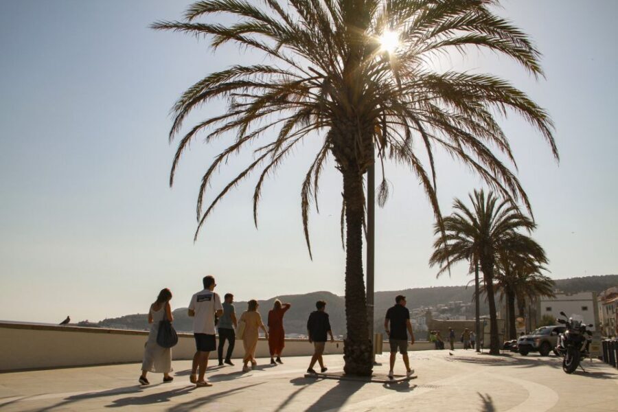 Sesimbra Walking Tour - An Overview of the Tour: What to Expect