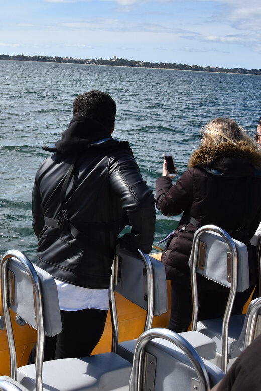 Setúbal and Tróia: Dolphin Watching and Arrábida Bays - Final Thoughts