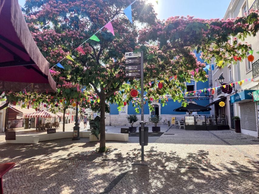 Setúbal Private Walking Tour: Off-the-Beaten-Path Charms - The Sum Up