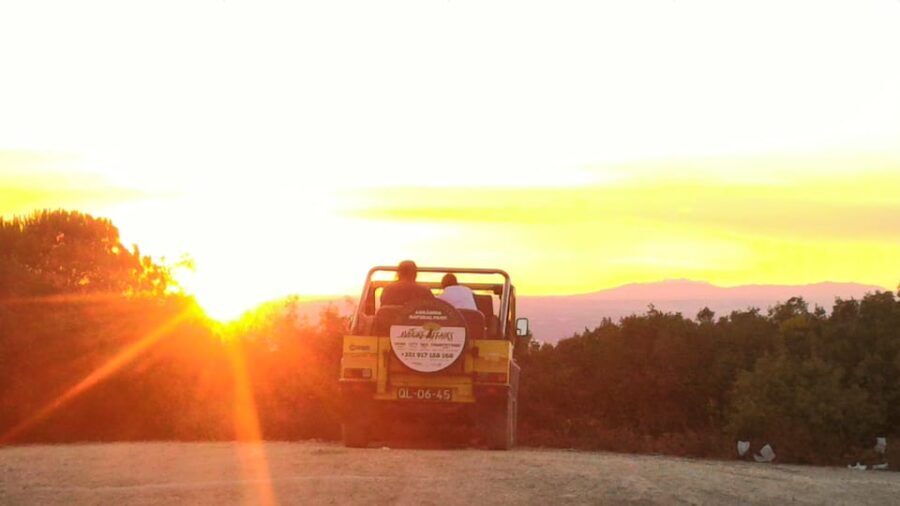 Setúbal: Romantic Picnic Sunset Wine Experience - What to Expect from a Typical Day