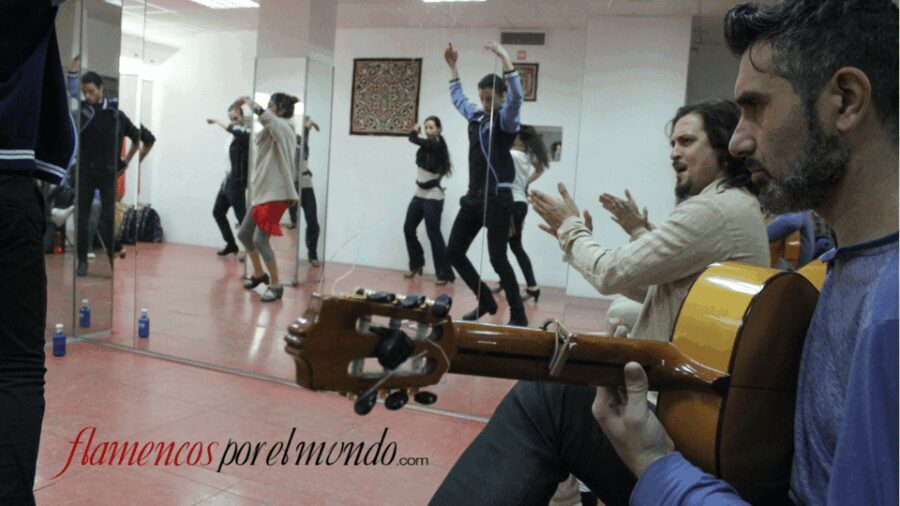 Sevilla : Flamenco Lessons - The Music and Rhythm: Heart of the Experience