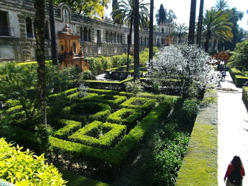 Sevilla Full-Day trip from Granada - A Practical Overview of the Sevilla Day Trip