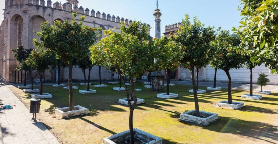 Sevilla: San Isidoro del Campo Monastery Guided Tour - What to Expect on the Tour