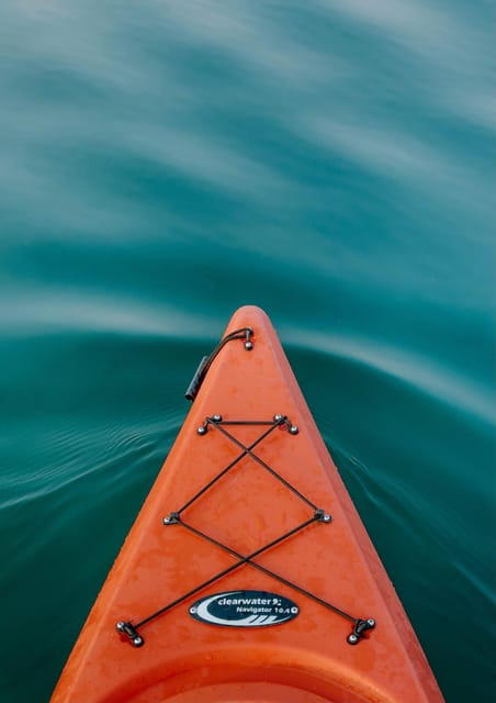 Seville: 1.5 hour Kayak Excursion - Key Points