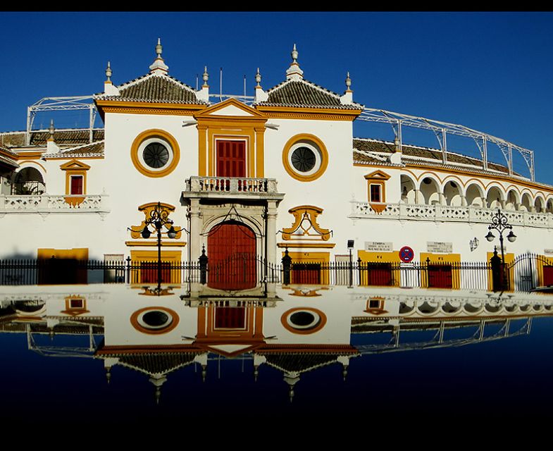 Seville 4-Hour Guided Walking Tour - Why You’ll Appreciate This Tour