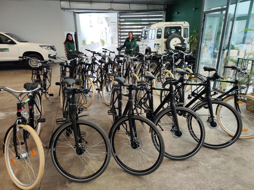Seville: Bike Rental - What’s Included and What’s Not
