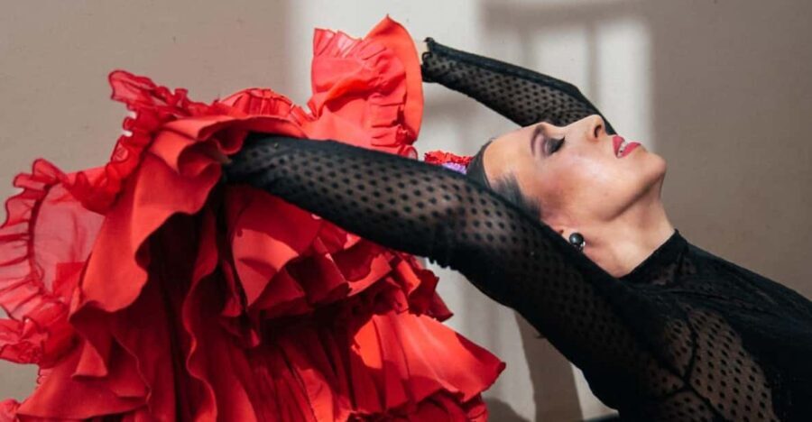 Seville: Enjoy a class of approach to flamenco - Practical Details