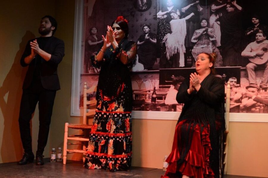 Seville: Flamenco Show at Tablao La Cantaora - What To Expect During Your Visit