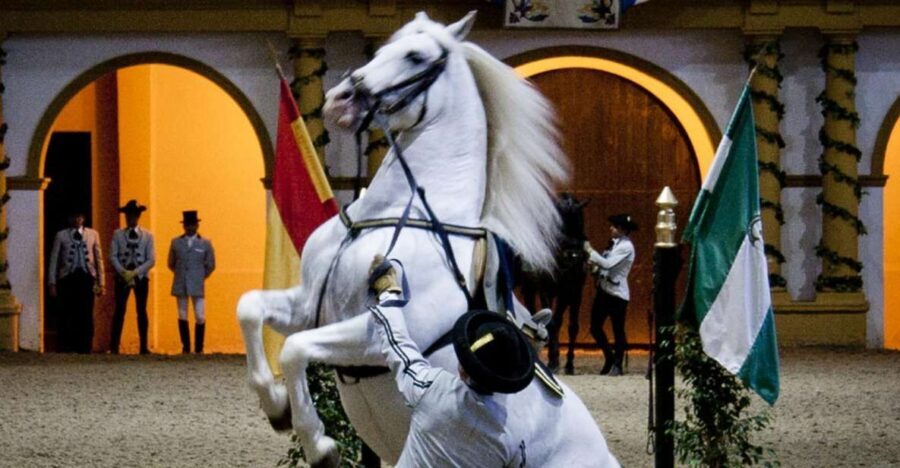 Seville: Jerez, Cadiz Wine Tasting with Optional Horse Show - Considerations Before Booking