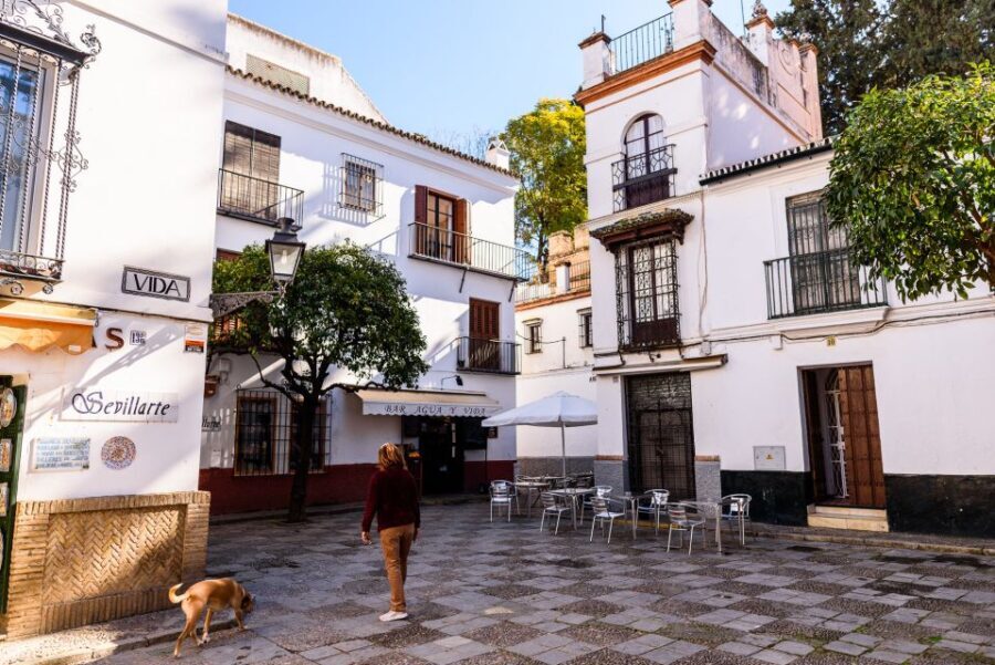 Seville: Santa Cruz Old Jewish Quarter Walking Tour - Who Will Love This Tour?