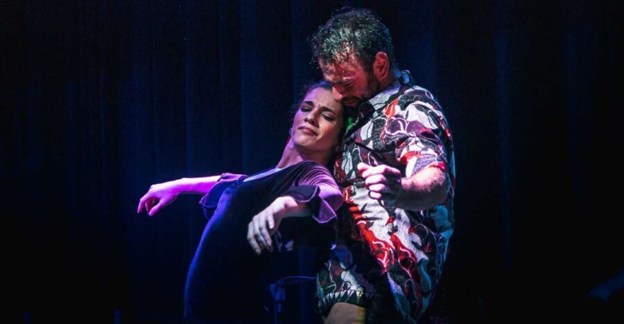 Seville: Traditional Flamenco Show in Triana - Who Will Love This Flamenco Experience?