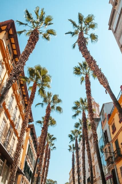 Seville: Transfer to Málaga with visit to Ronda - Ronda: A Picturesque Town with Dramatic Views