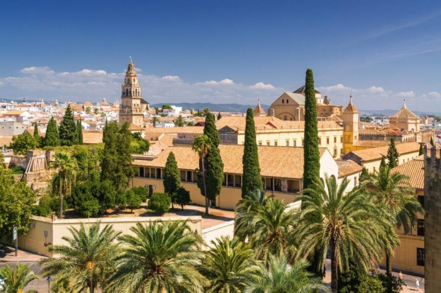 Sevilles Royal & Gothic Splendors: Skip-The-Line Tour - Who Should Book This Tour?
