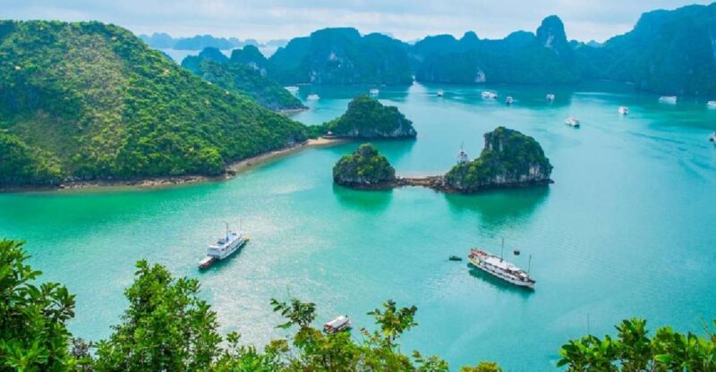 Shore Excursion: Halong Bay cruise day trip from Halong Port - Key Points