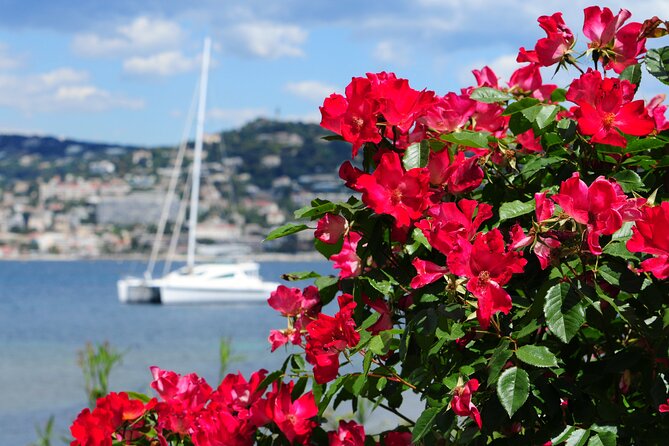 Shore excursion to Grasse, Antibes, St Paul de Vence from Cannes - Key Points