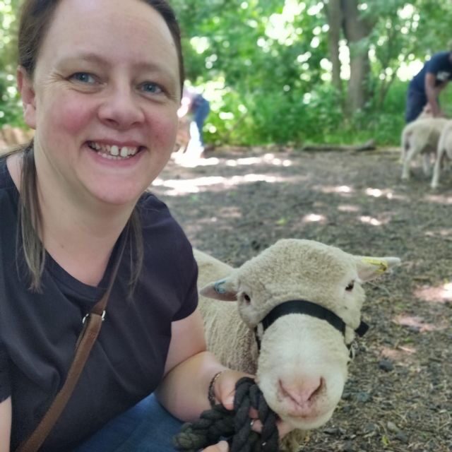 Shropshire: Sheep Trek with the Smallest Sheep in the World - Practical Details and Value