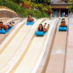 Siam Park Entry Tickets - Who Should Visit Siam Park?