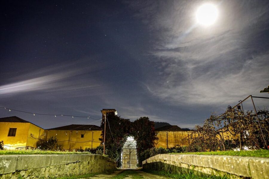 Sicilian cooking class in the historic baglio Florio Adamo - The Ingredients: Organic, Seasonal, Local