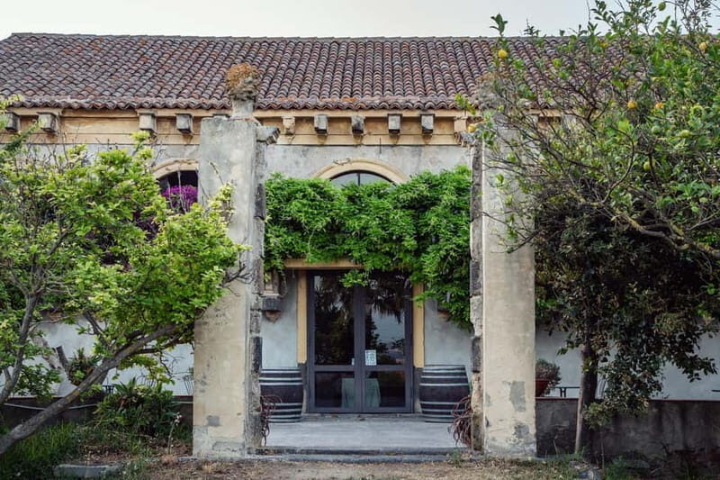 Sicilian Soul: Winery Tour, Wine & Food Tasting in Catania - The Tasting Experience