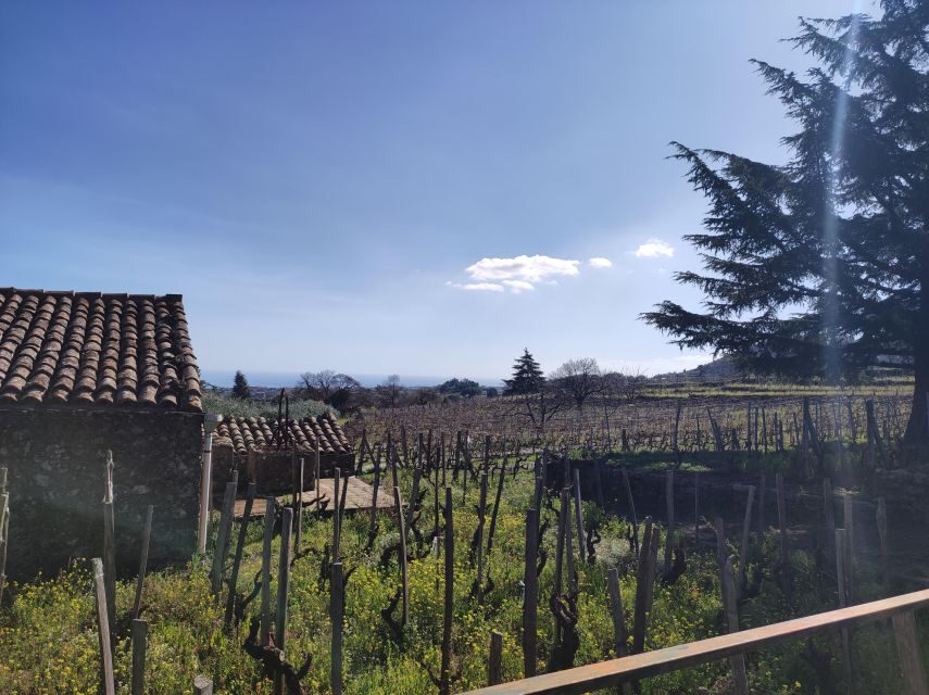 Sicily: Etna Volcano and Wine Tasting Tour - Practical Considerations and Tips