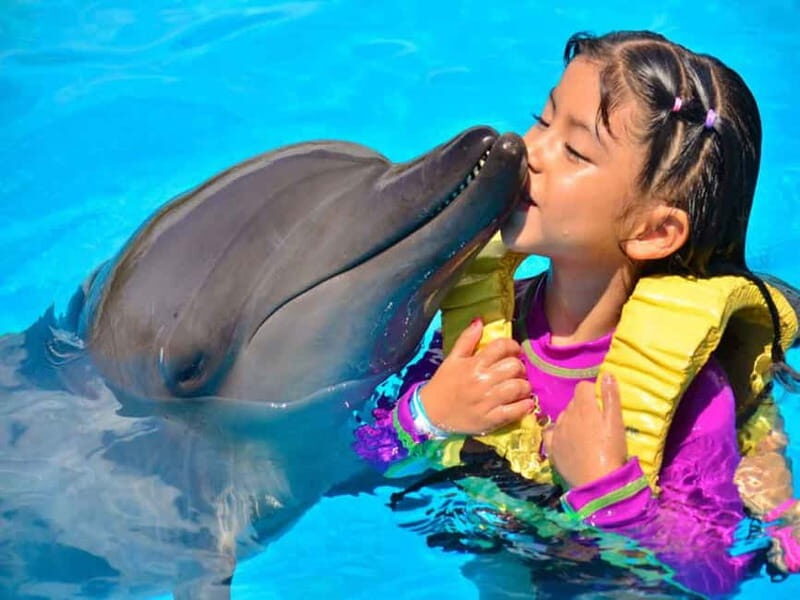 Side/Alanya: Swimming with Dolphins and Dolphin Show - The Practical Details