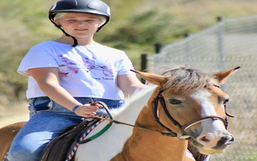 Side: Horse Safari Tour - The Real Value and What to Expect