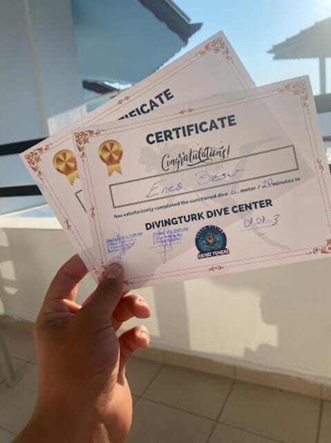 Side: Scuba Diving & Under Water Museum with Hotel Transfer - Why This Tour Offers Good Value