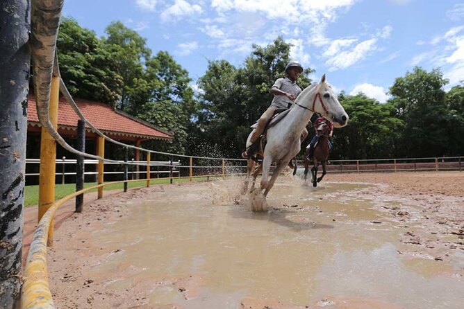 Siem Reap Happy Horse Riding - Key Points