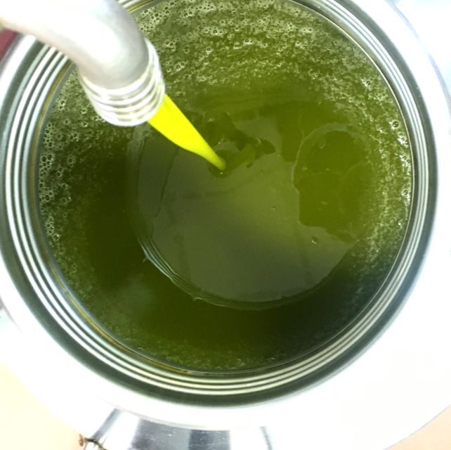 Siena: EVO oil experience with walk, tasting and lunch - Why This Tour Is Worth It