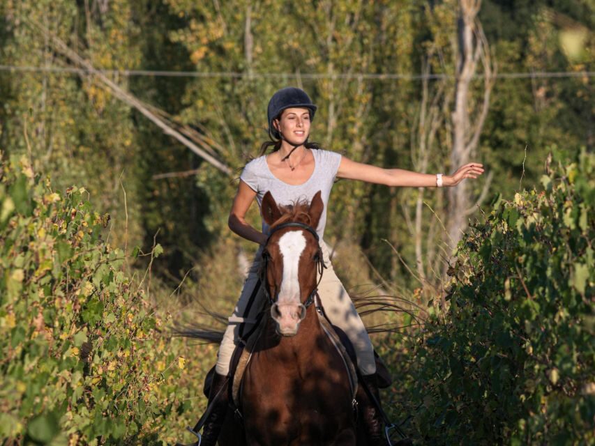 Siena: Horseback Adventure in the Tuscan Countryside - The Itinerary: What to Expect