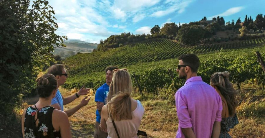 Siena: Organic Winery Tour and Wine Tasting - Why Travelers Love This Tour