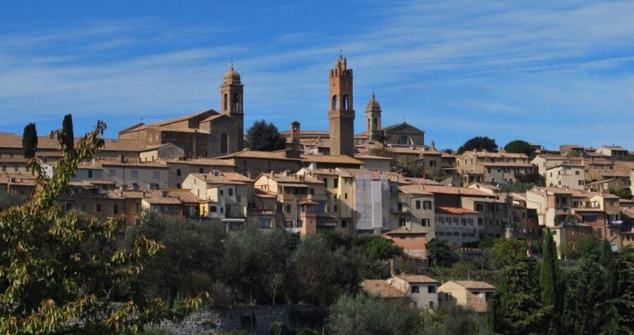 Siena Private Walking Tour - An Overview of Siena and Its Charm