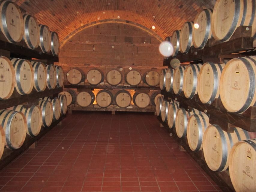 Siena & San Gimignano Day Tour & Wine Tasting from Rome - The Experience: Pros and Cons