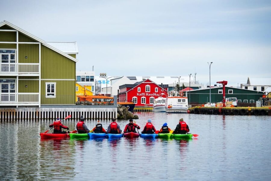 Siglufjörður / Siglufjordur: Guided kayak tour. - Detailed Breakdown of the Itinerary