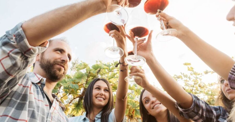 Silves: Algarvian Winery Tour and Tasting Experience - What the Tour Covers