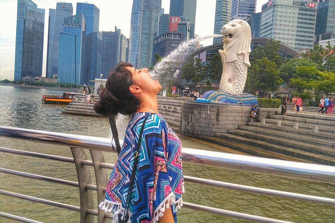 Singapore Instagram Tour By Car (Private & All-Inclusive) - Key Points